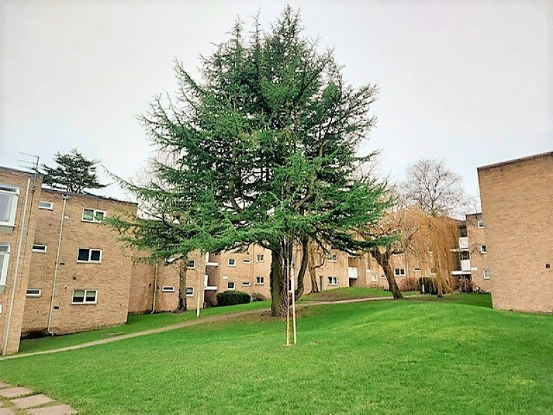 8 Mount Way - Lot 11 on 16/02/22 | Venmore Auctions